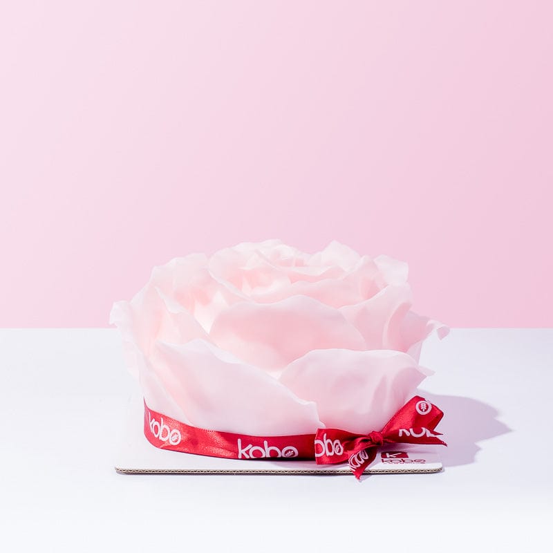 Cake Delivery KL | #1 Kek Shop | Same Day Delivery